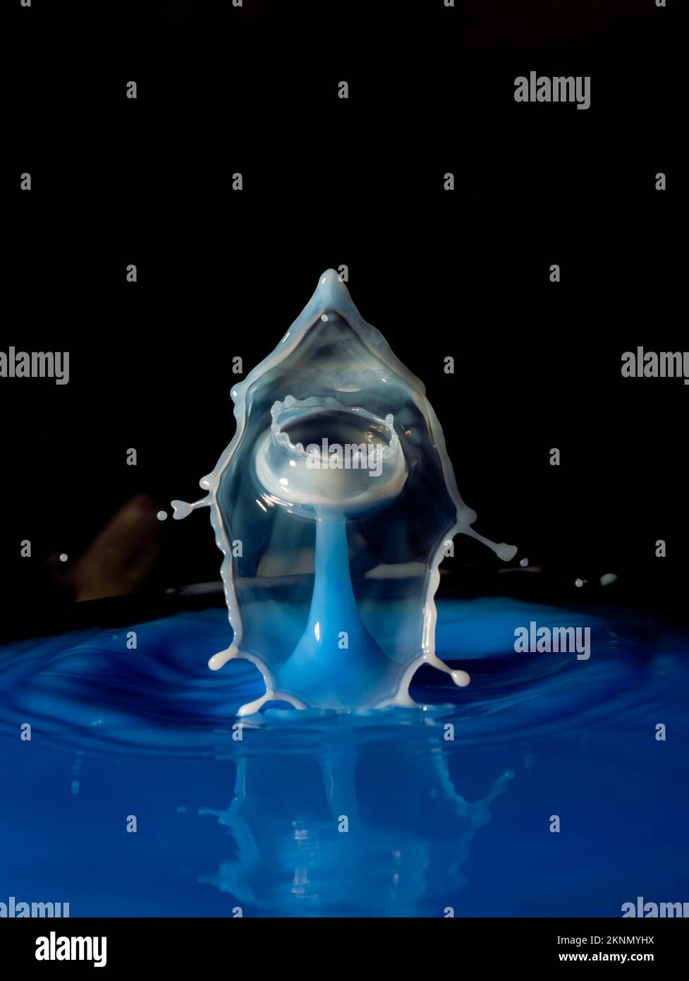 drops of milk colliding formed figures with a black background and ...