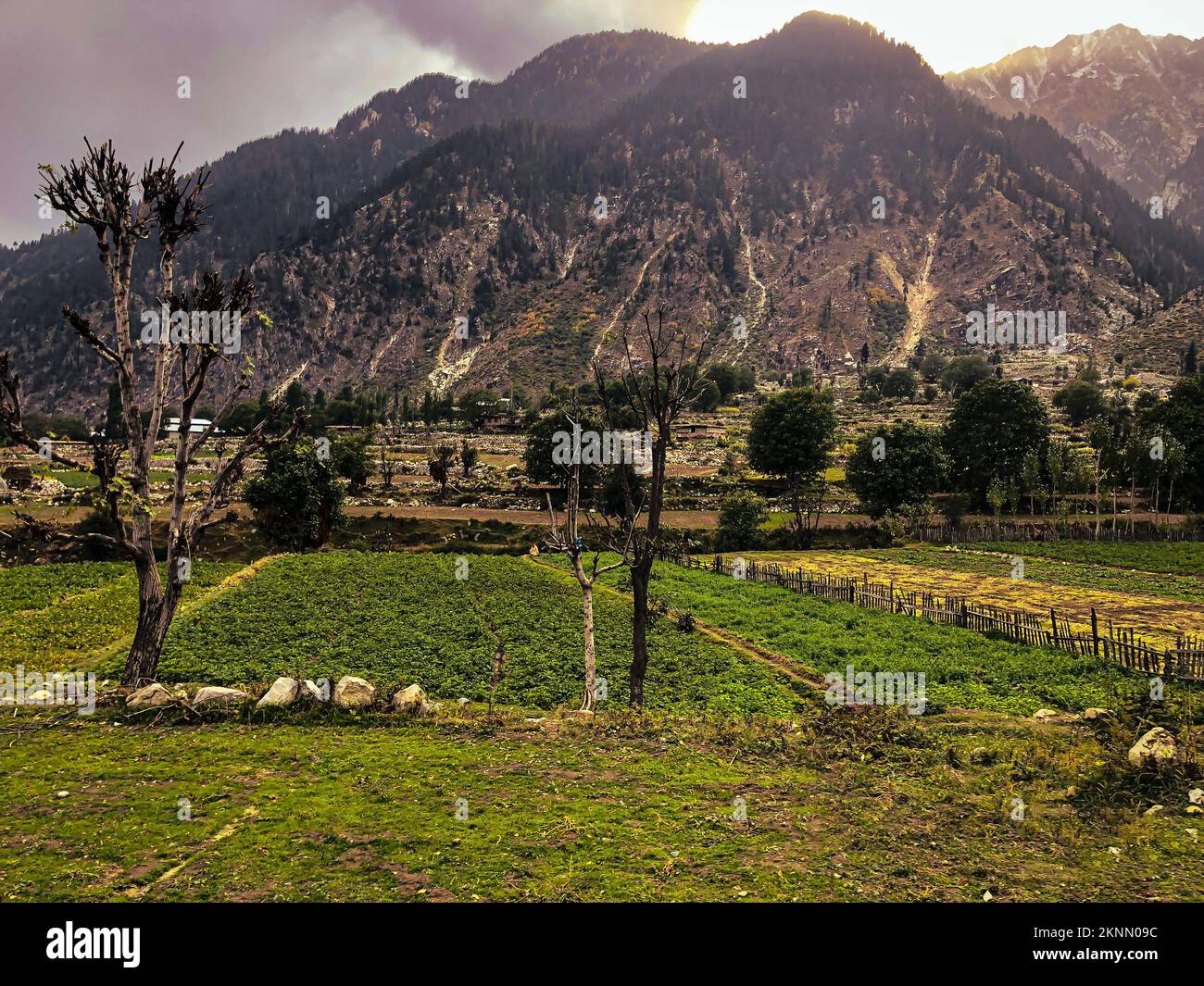 Open lands hi-res stock photography and images - Alamy