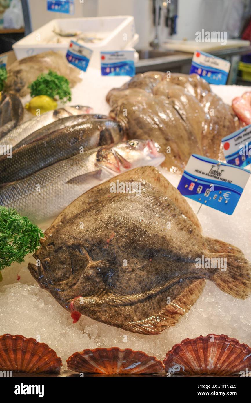 Fresh fish and seafood on sale in Las Halles market, Biarritz, France ...