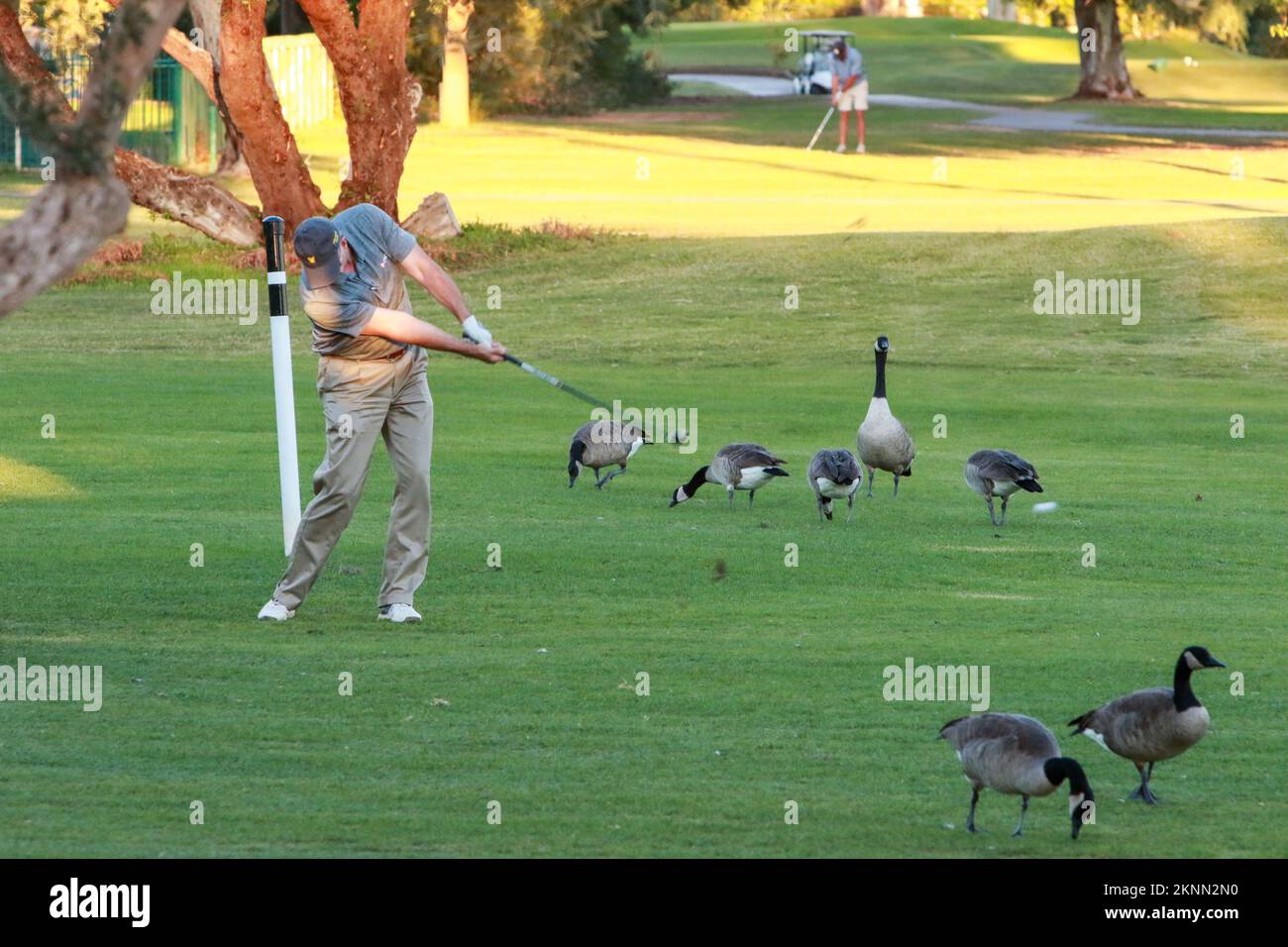 Scottsdale golf course hi-res stock photography and images - Alamy