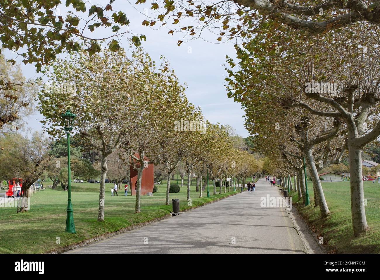 Santander, Spain - 31 Oct, 2022: Tree lined paths in rhe Peninsula de ...