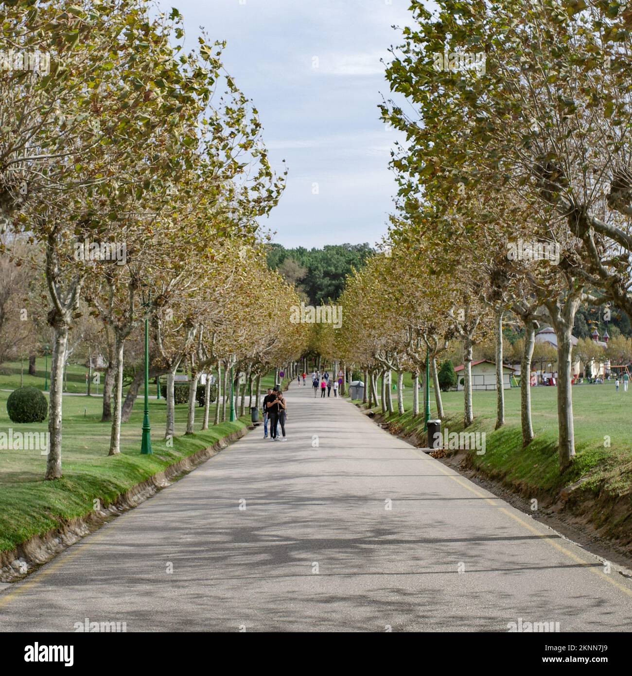 Santander, Spain - 31 Oct, 2022: Tree lined paths in rhe Peninsula de ...