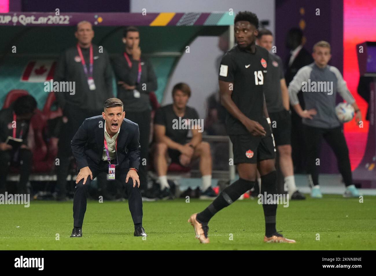 November 27, 2022, AL RAYYAN, QATAR: Canada head coach John Herdman yells as Canada forward ...