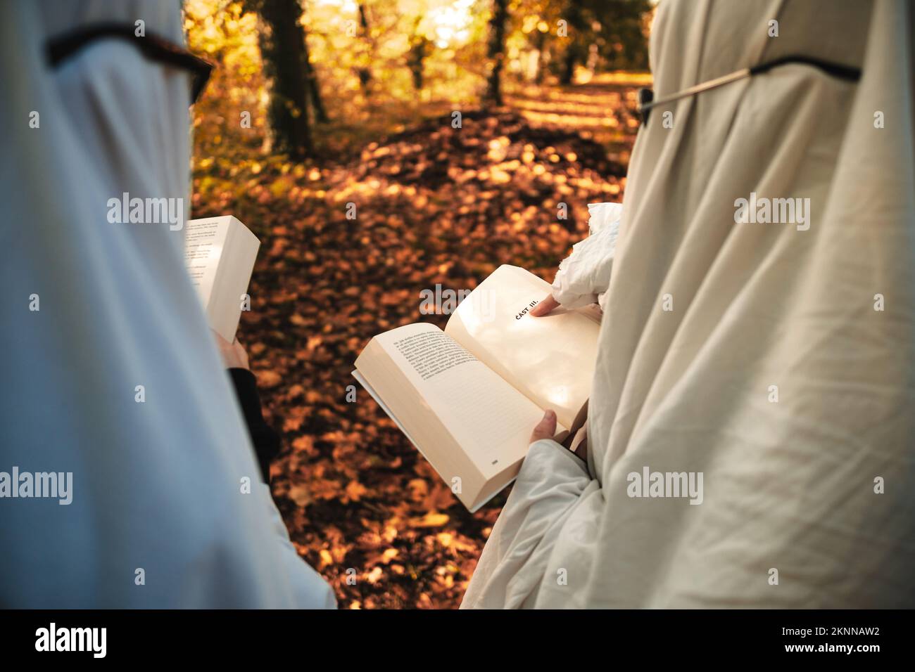 A funny image of two people in ghost costumes and sunglasses are ...