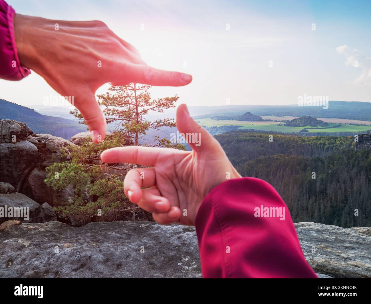 Female hands make frame gesture round pine tree on rocky edge. Blue ...