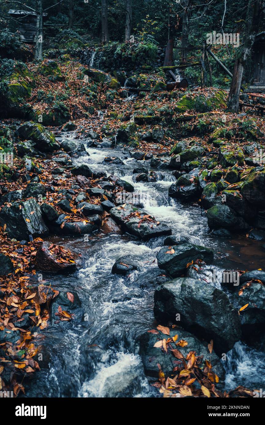 Dark and green color hi-res stock photography and images - Alamy