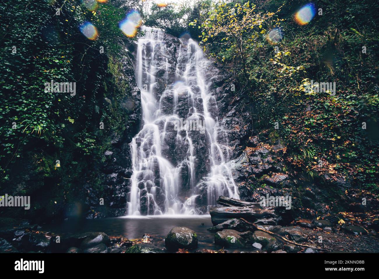 Waterfall in dark green forest. Mountain cascade river splashing on ...