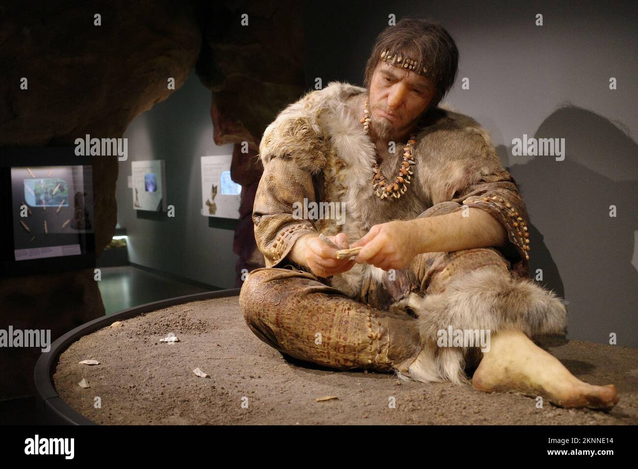 Santander, Spain - 29 Oct, 2022: A Caveman mannequin at the Museum of Prehistory and Archaeology ...