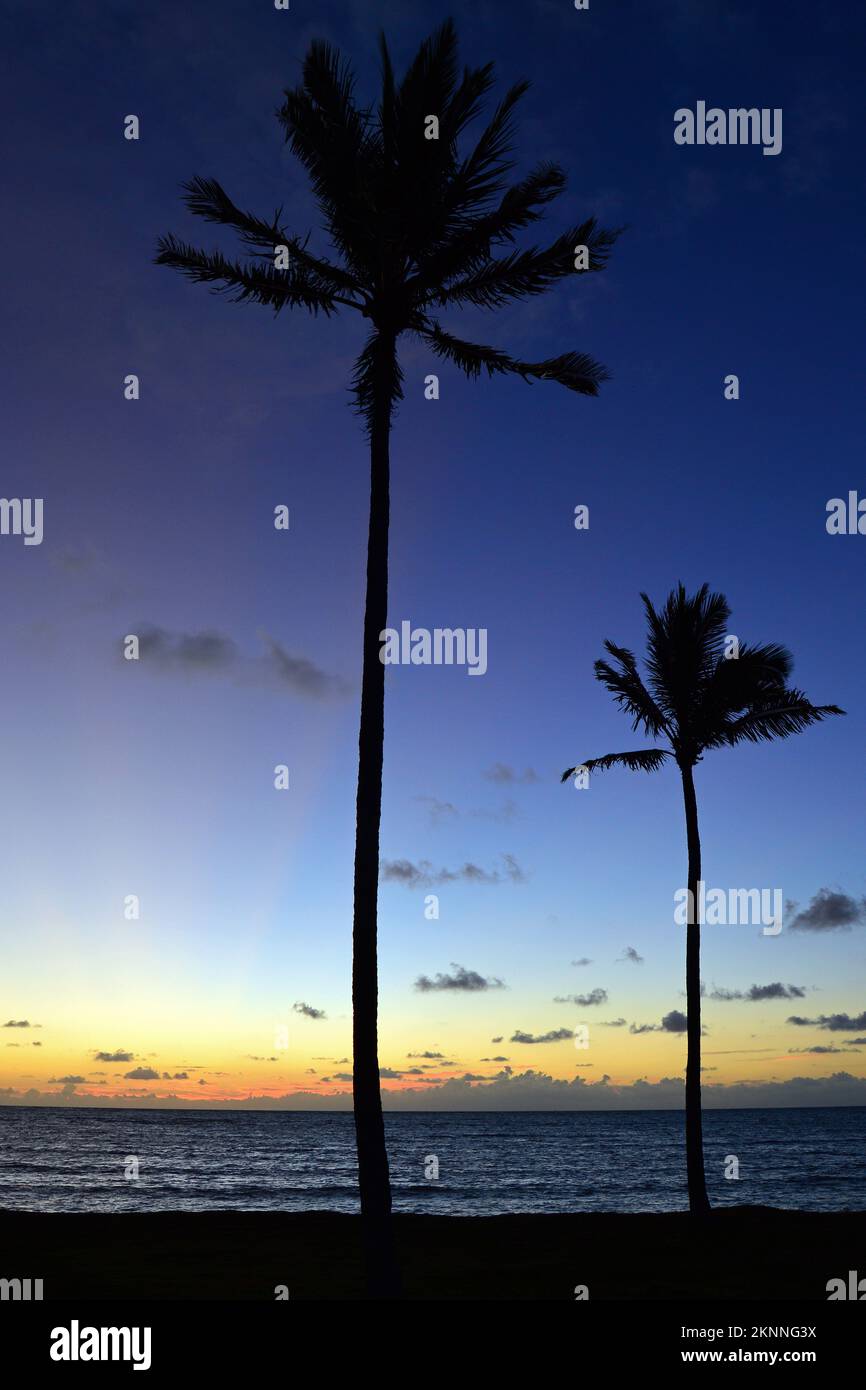 Palm trees are silhouetted against a tropical sunset Stock Photo - Alamy
