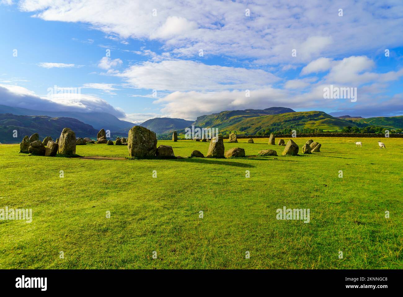 Morning view of the Castlerigg stone circle, with sheep, near Keswick ...