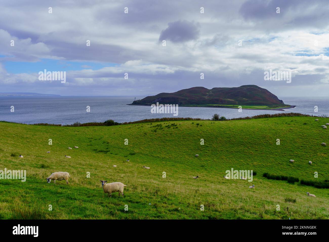 Davaar island lighthouse scotland hi-res stock photography and images ...