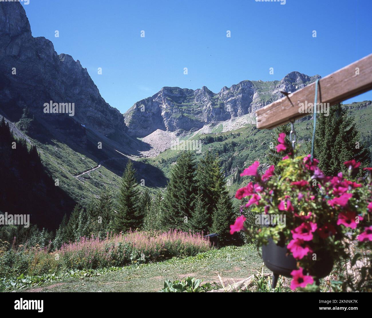 A scenic view of rocky mountains covered with green from a valley with ...