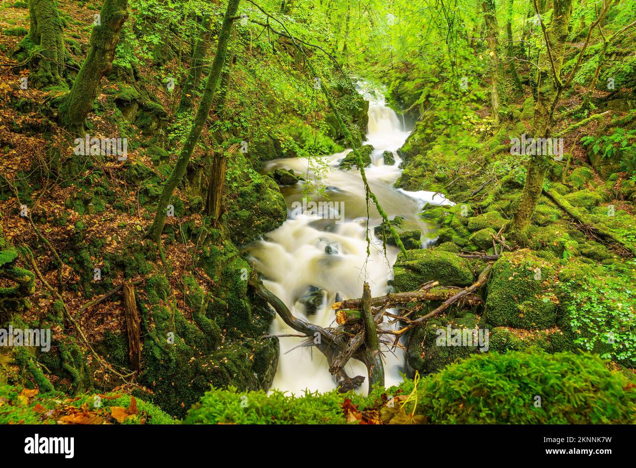 Twilight view of the river Clywedog, in Snowdonia National Park, the ...