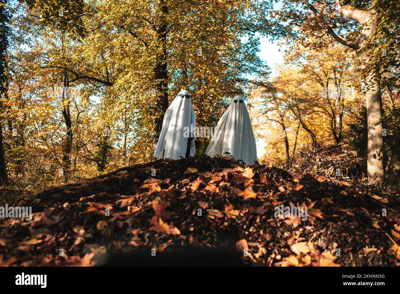 A funny image of two people in ghost costumes and sunglasses looking up ...