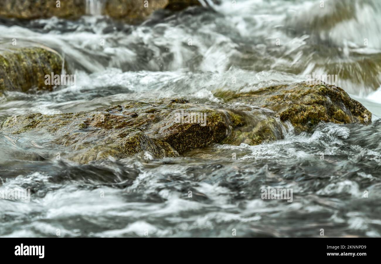 Rapid spring river flowing over rocks forming white water waves ...