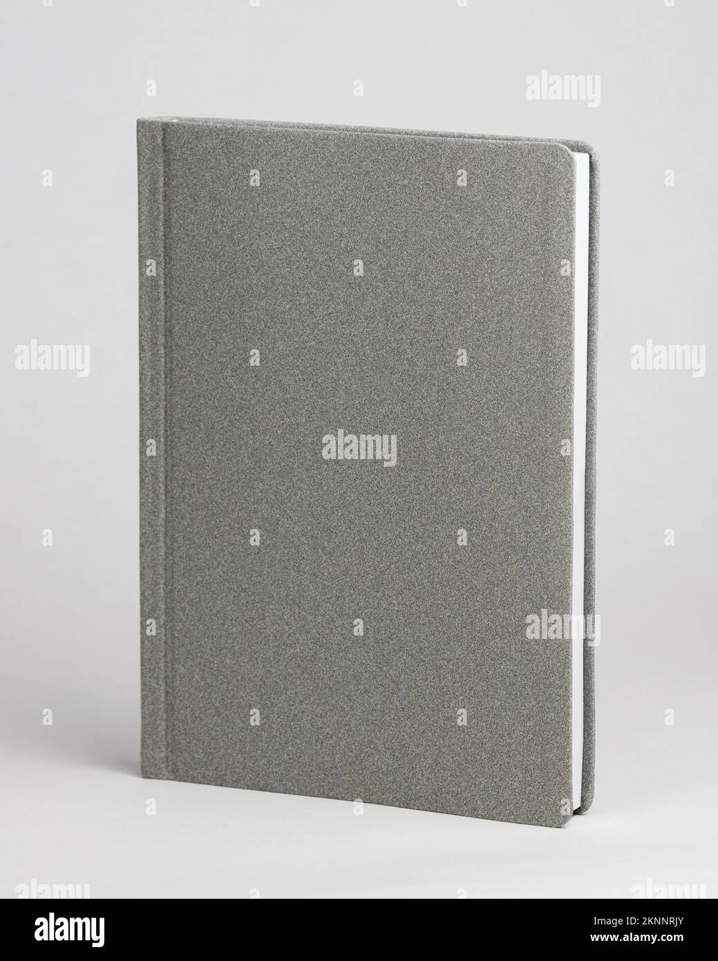 Gray silver office diary in standing view isolated on white background ...