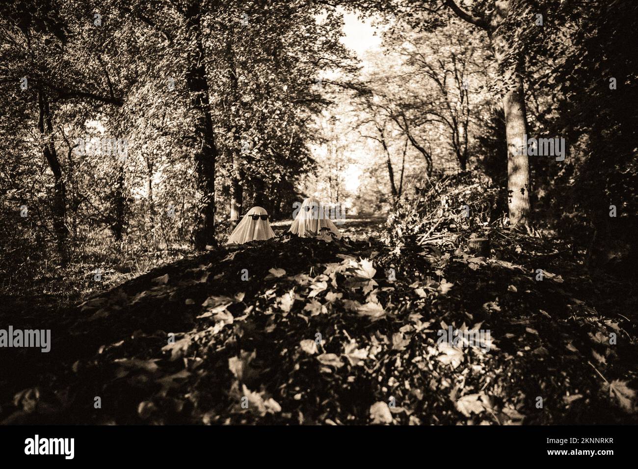 A funny image of two people in ghost costumes and sunglasses hide ...
