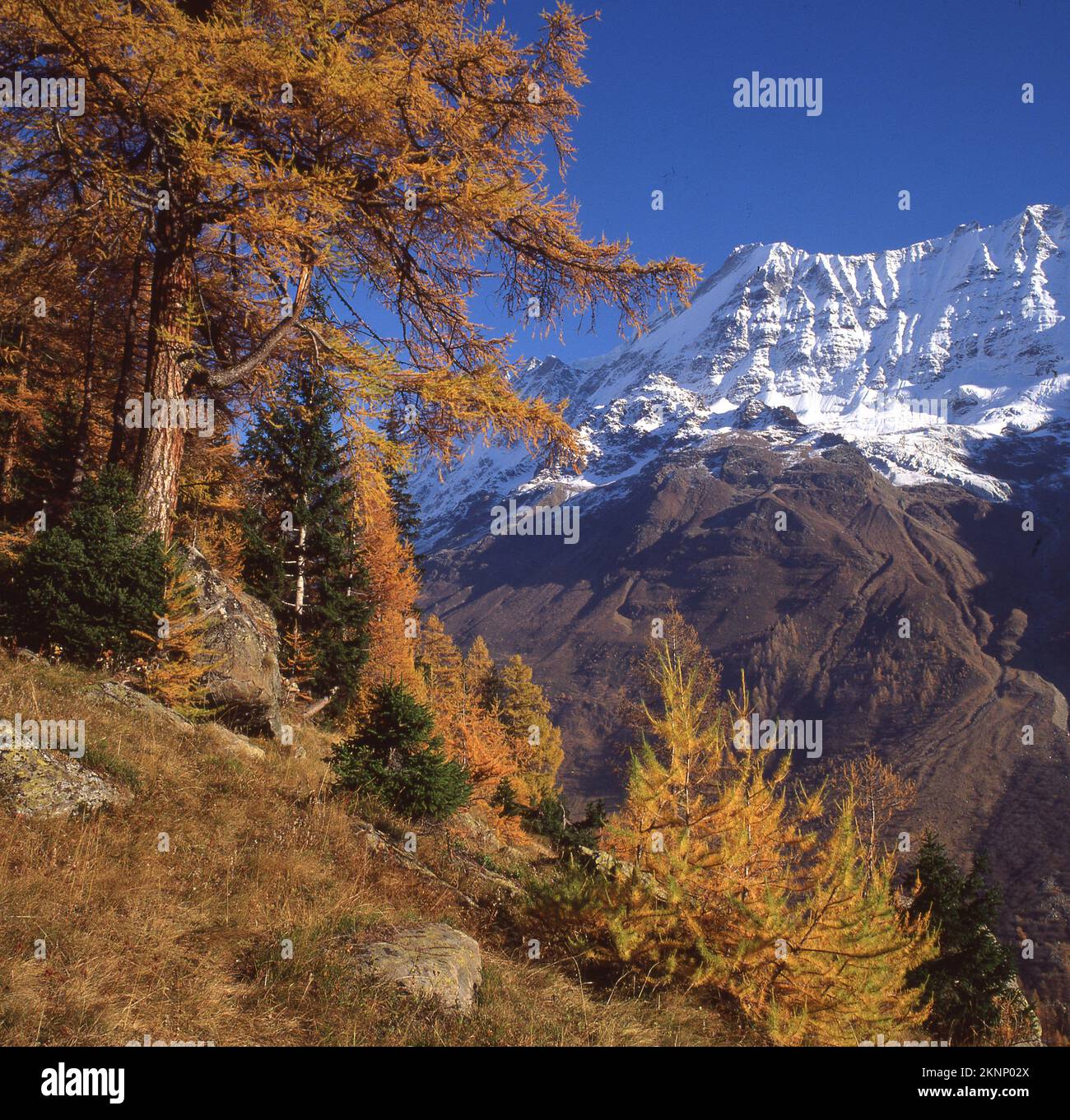 A scenic view of a beautiful landscape filled with valleys, lakes, and ...