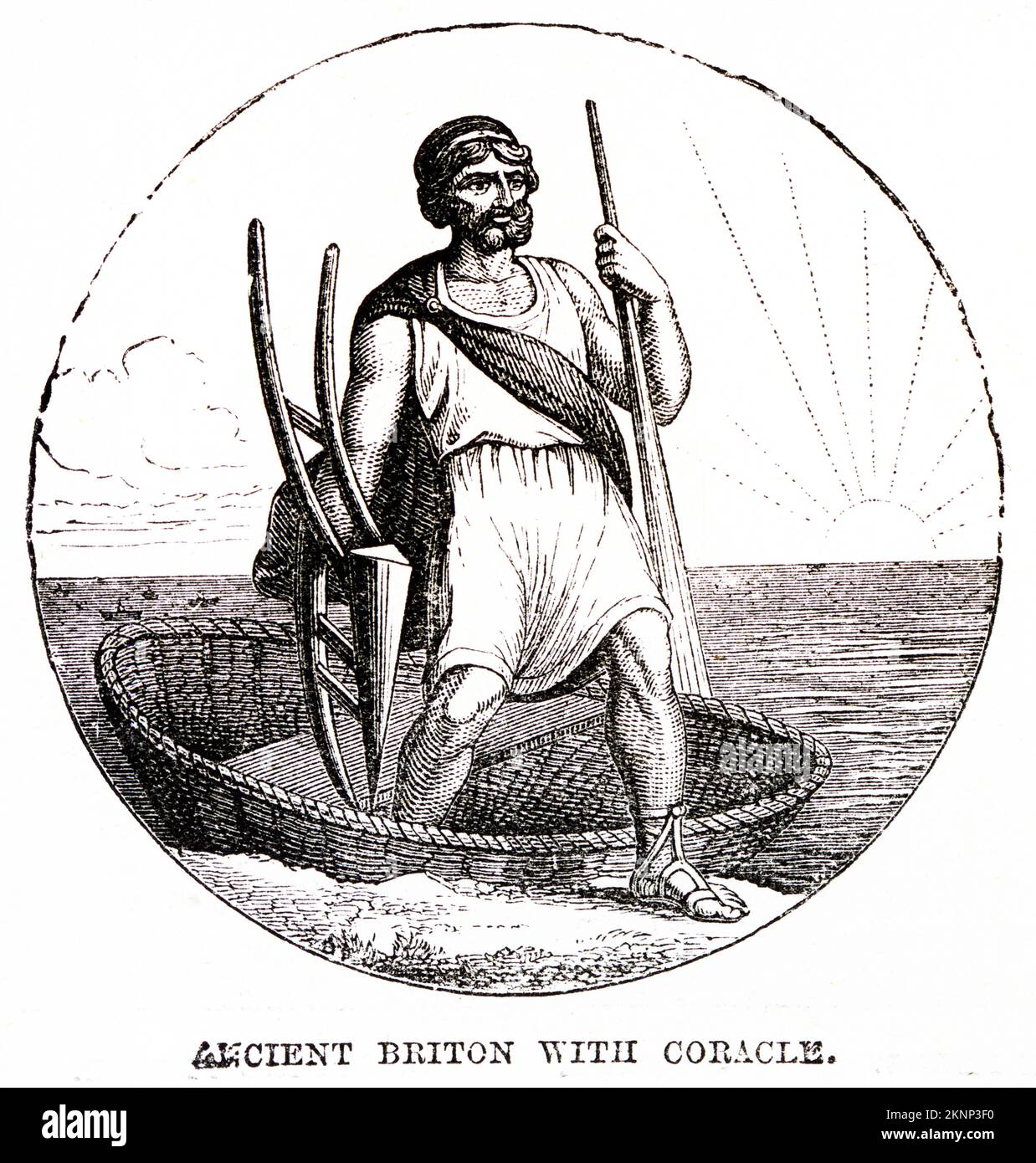 Shell engraving Cut Out Stock Images & Pictures - Alamy