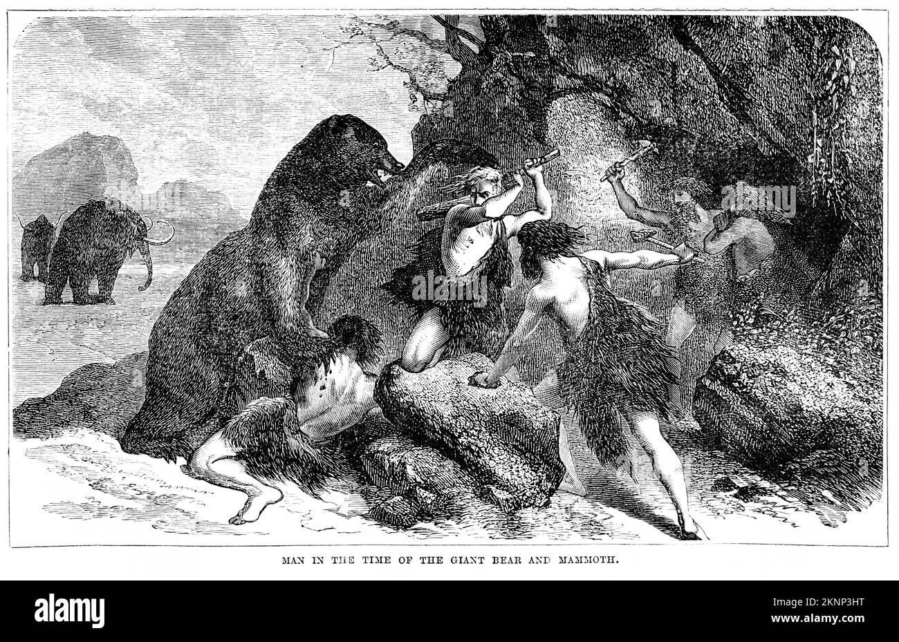 Engraving of men fighting for their lives in the time of the giant bear ...