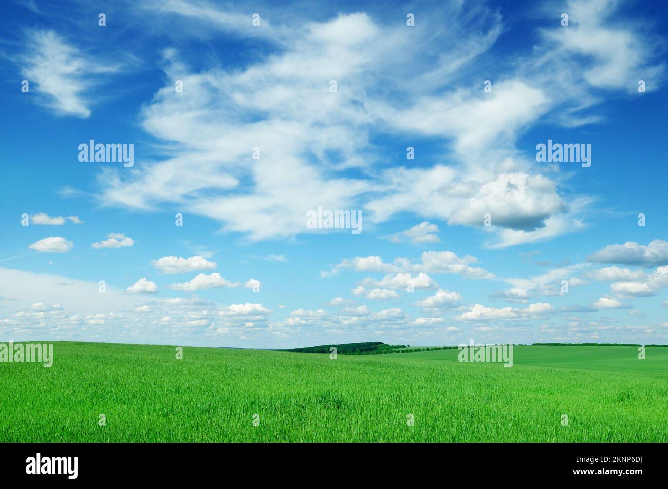 field and blue sky Stock Photo - Alamy