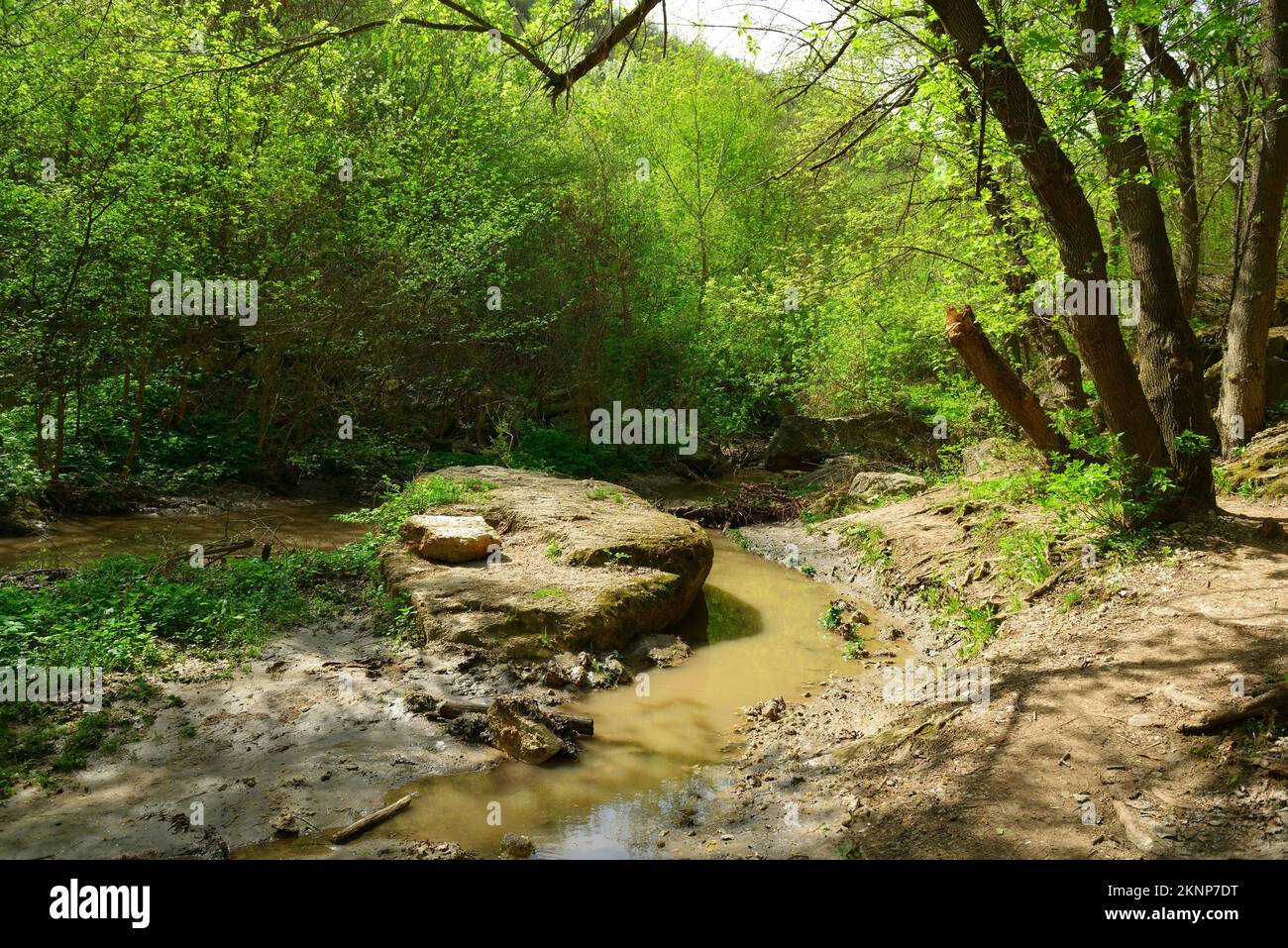 Brook flow hi-res stock photography and images - Alamy