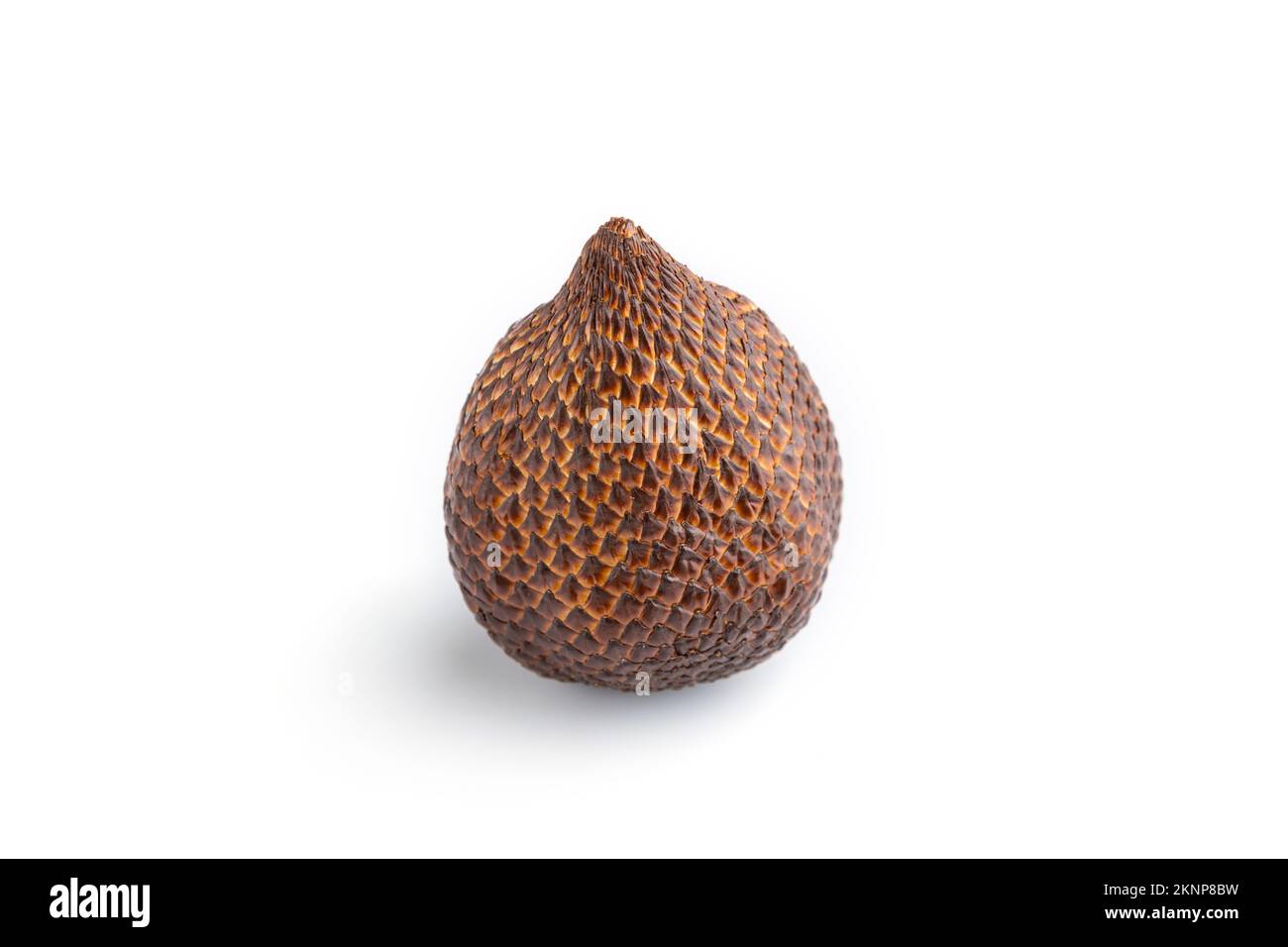 Salak or snake fruit isolated on white background. Side view, close up ...