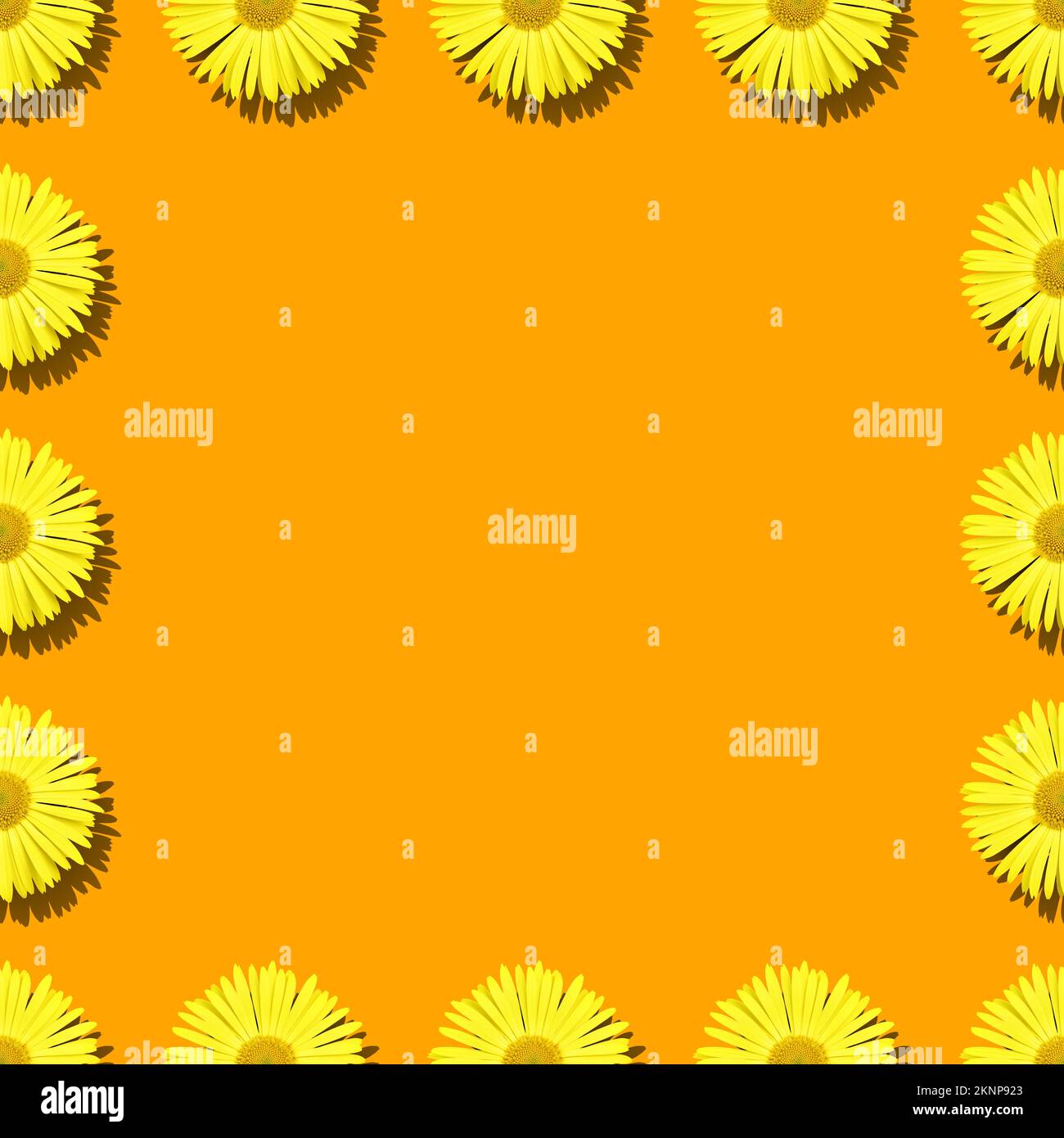 Yellow daisy background wallpaper hi-res stock photography and images ...