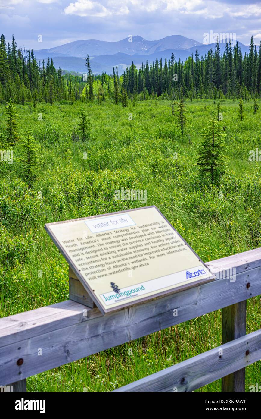 An interpretive sign on the boardwalk through a meadow in the ...