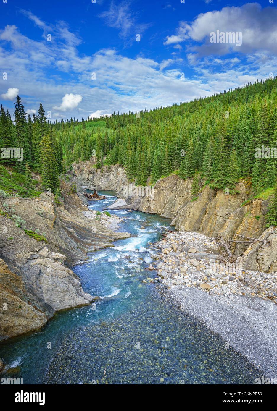 The canyon of the Sheep River Stock Photo - Alamy