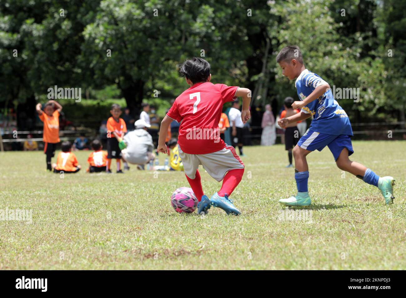 Asian Kids with red and blue uniforms playing football on the soccer ...