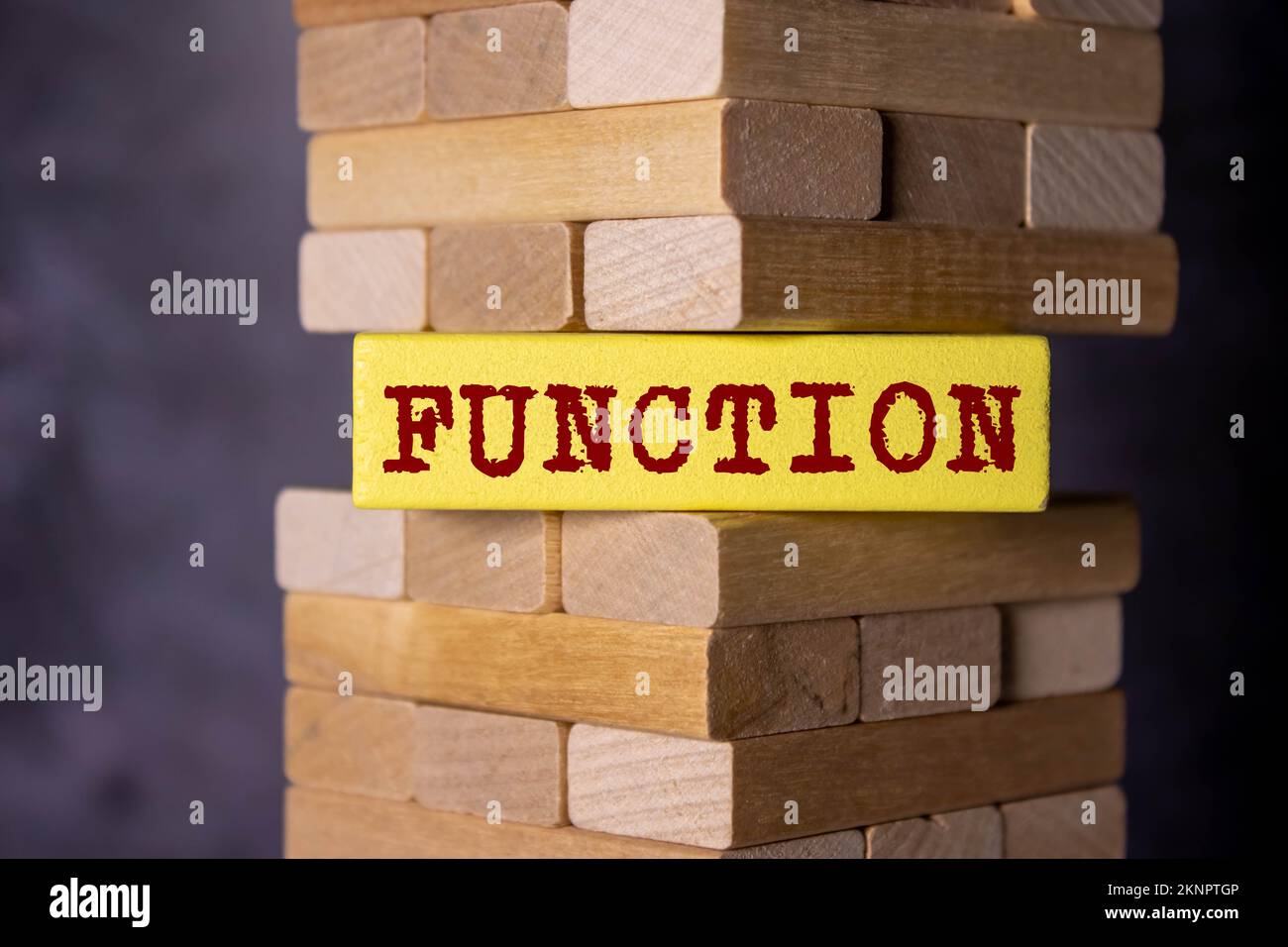 text on gray word function in small wooden letters with black font on a ...