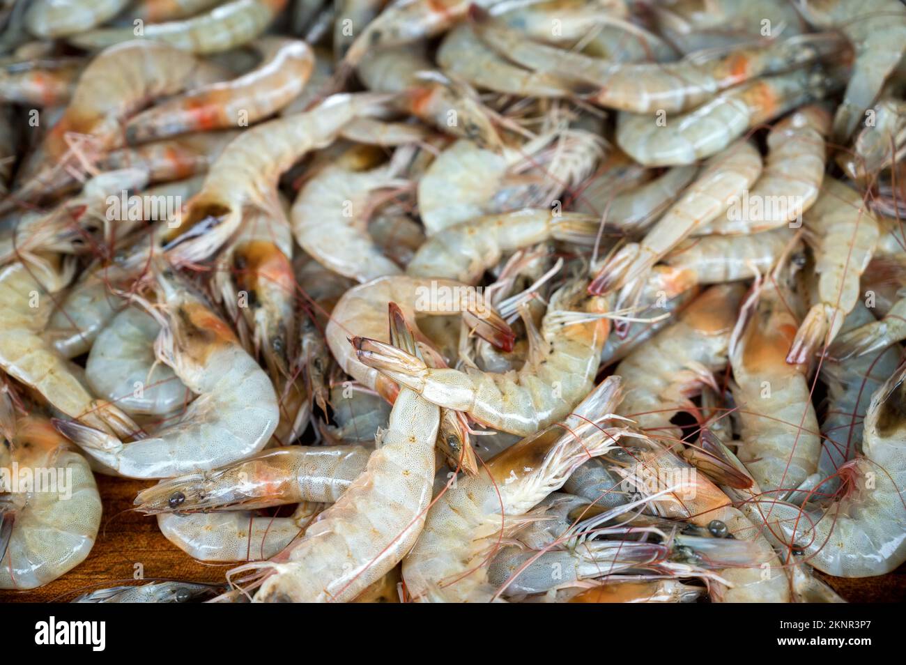 Fresh uncooked tiger prawns at Asian fishmarket Stock Photo - Alamy