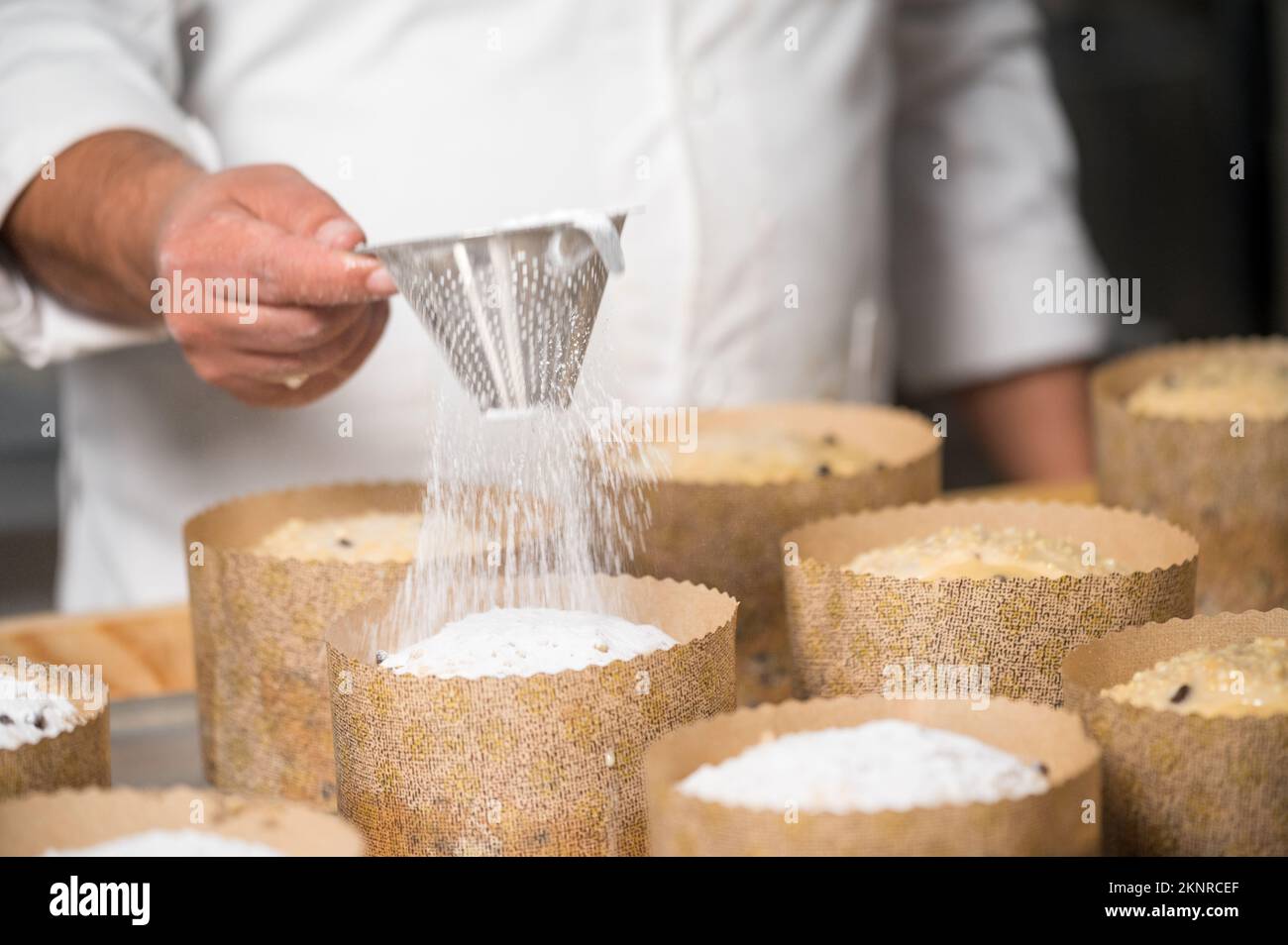Pastry chef Topping Traditional Italian panettones with powdered sugar ...