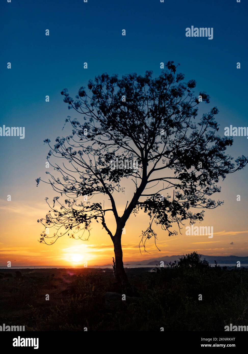 Sunset oranye hi-res stock photography and images - Alamy