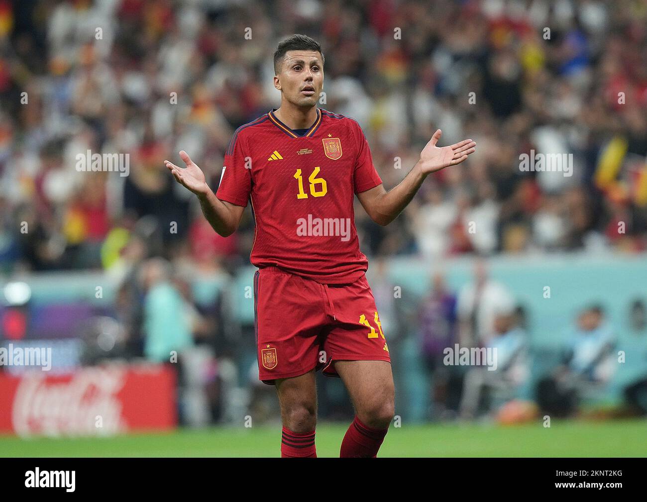 November 27th, 2022, Ahmad bin Ali Stadium, Doha, QAT, World Cup FIFA ...