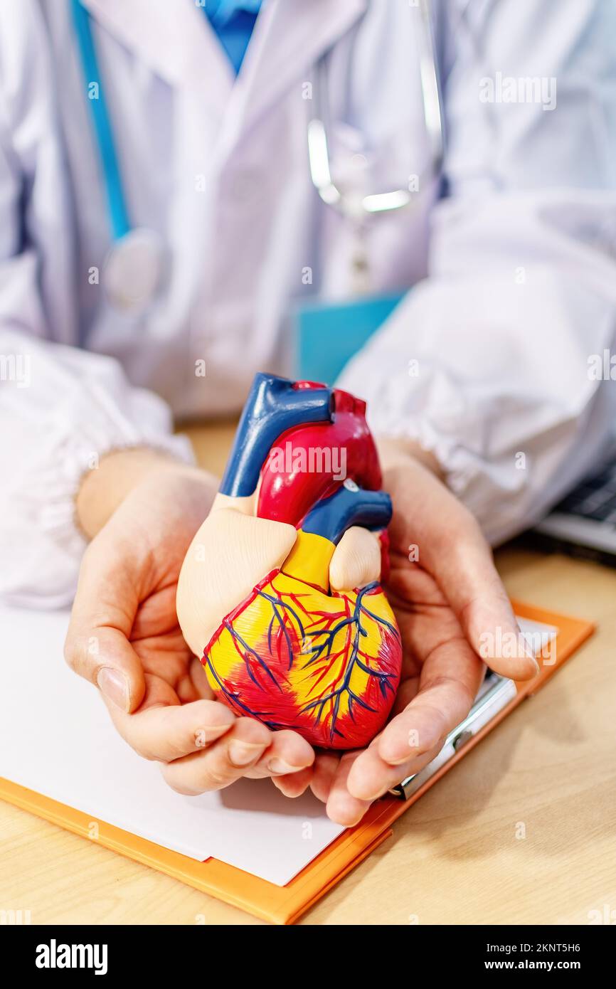 Doctor patient holding hands hi-res stock photography and images - Alamy