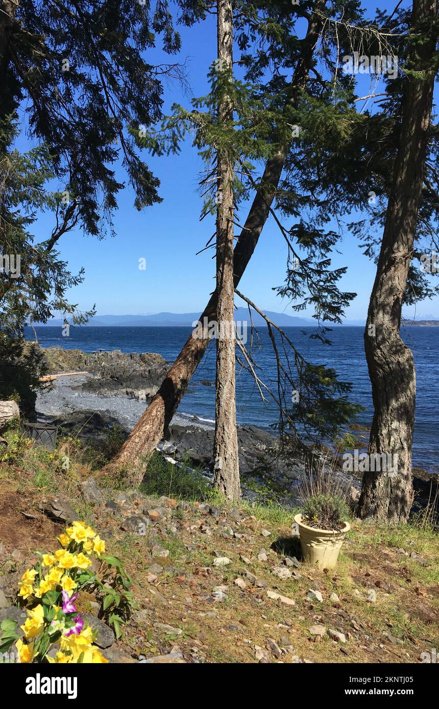 East Coast of Vancouver Island in Nanoose Bay, British Columbia, Canada ...
