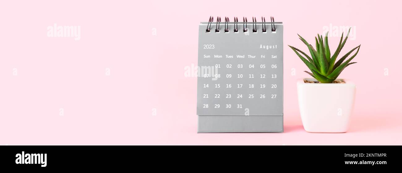 Flip paper calendar and succulent on pink background with space for ...