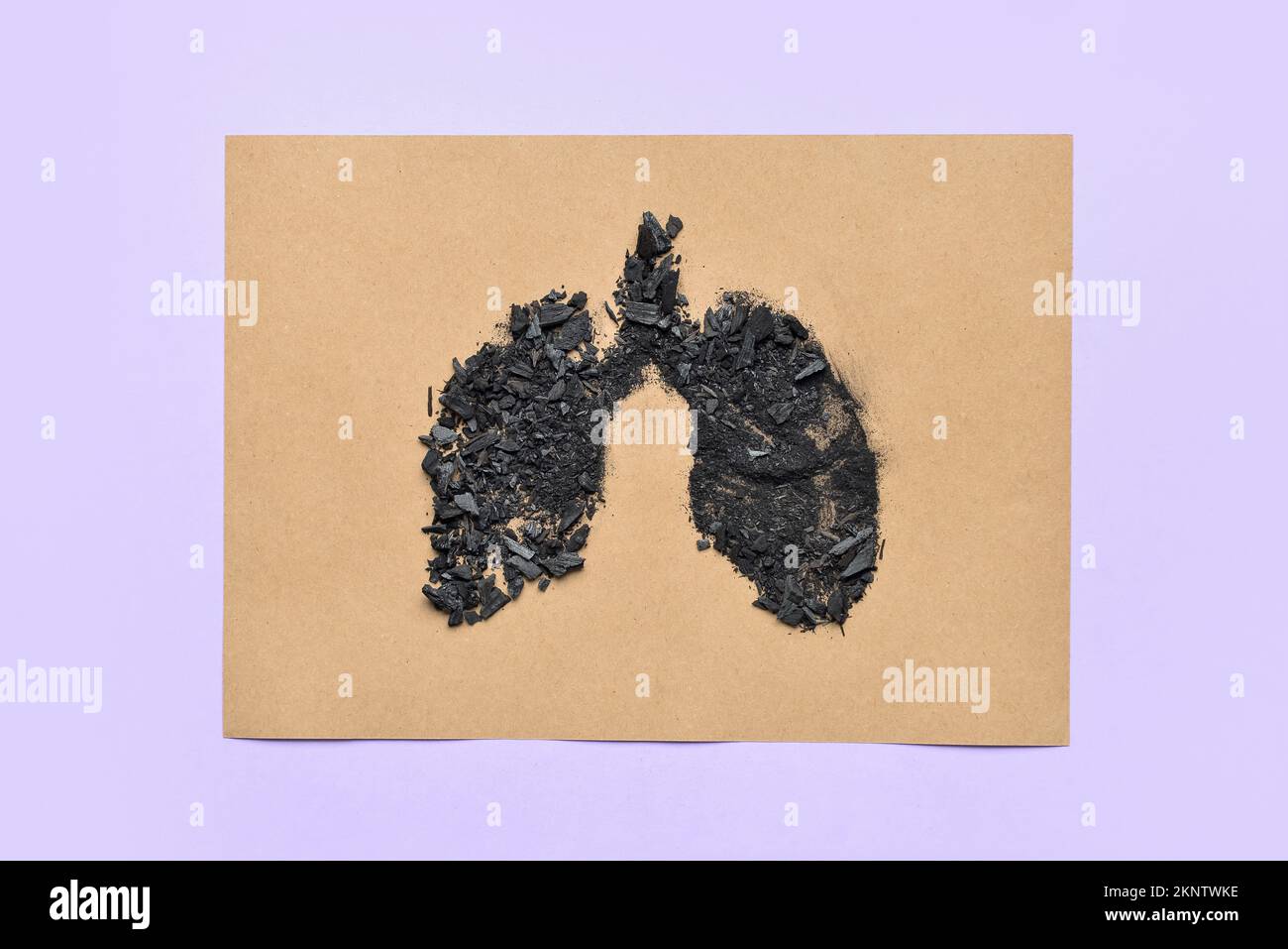 Paper with lungs made of coal on lilac background Stock Photo - Alamy