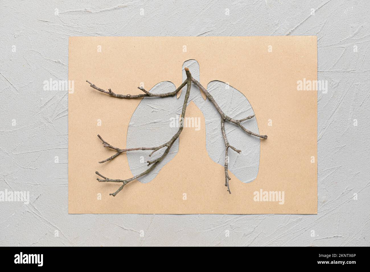 Paper lungs with tree branches on light background Stock Photo - Alamy