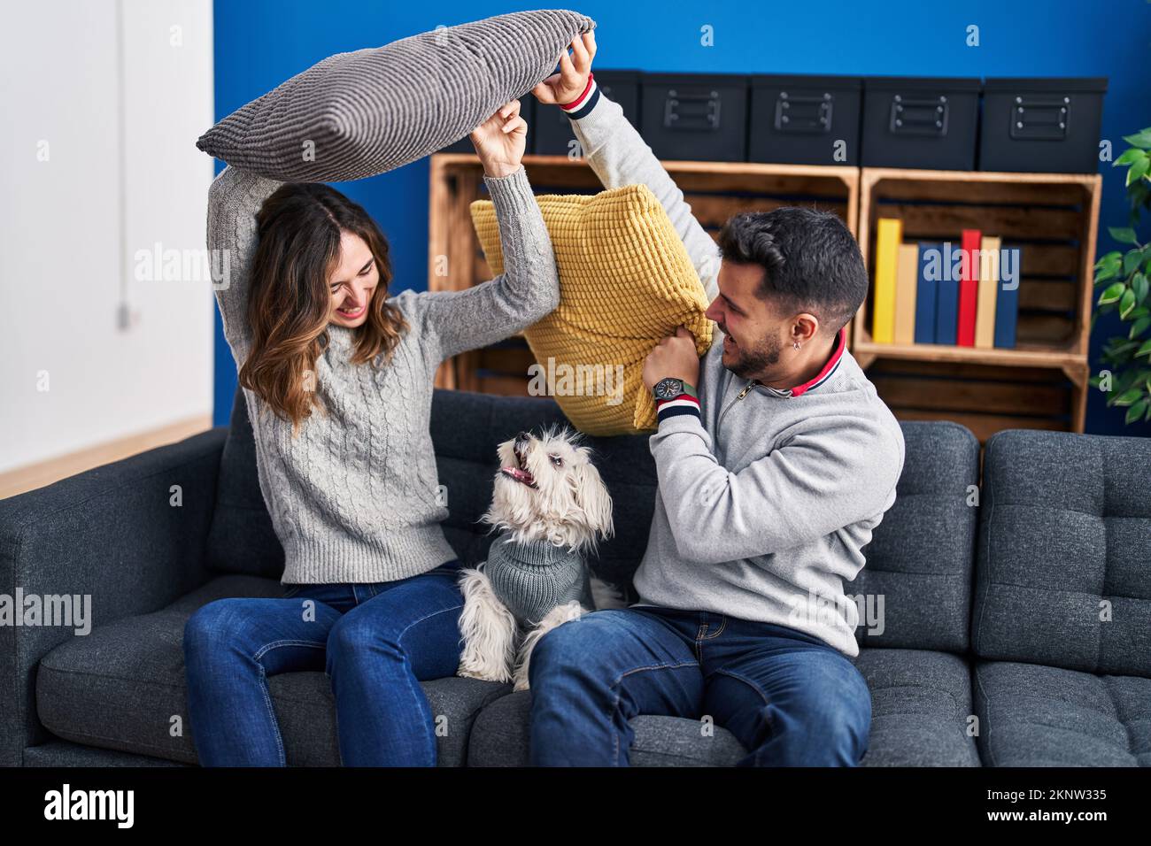 Man and woman fighting with cushion sitting on sofa with dog at home ...