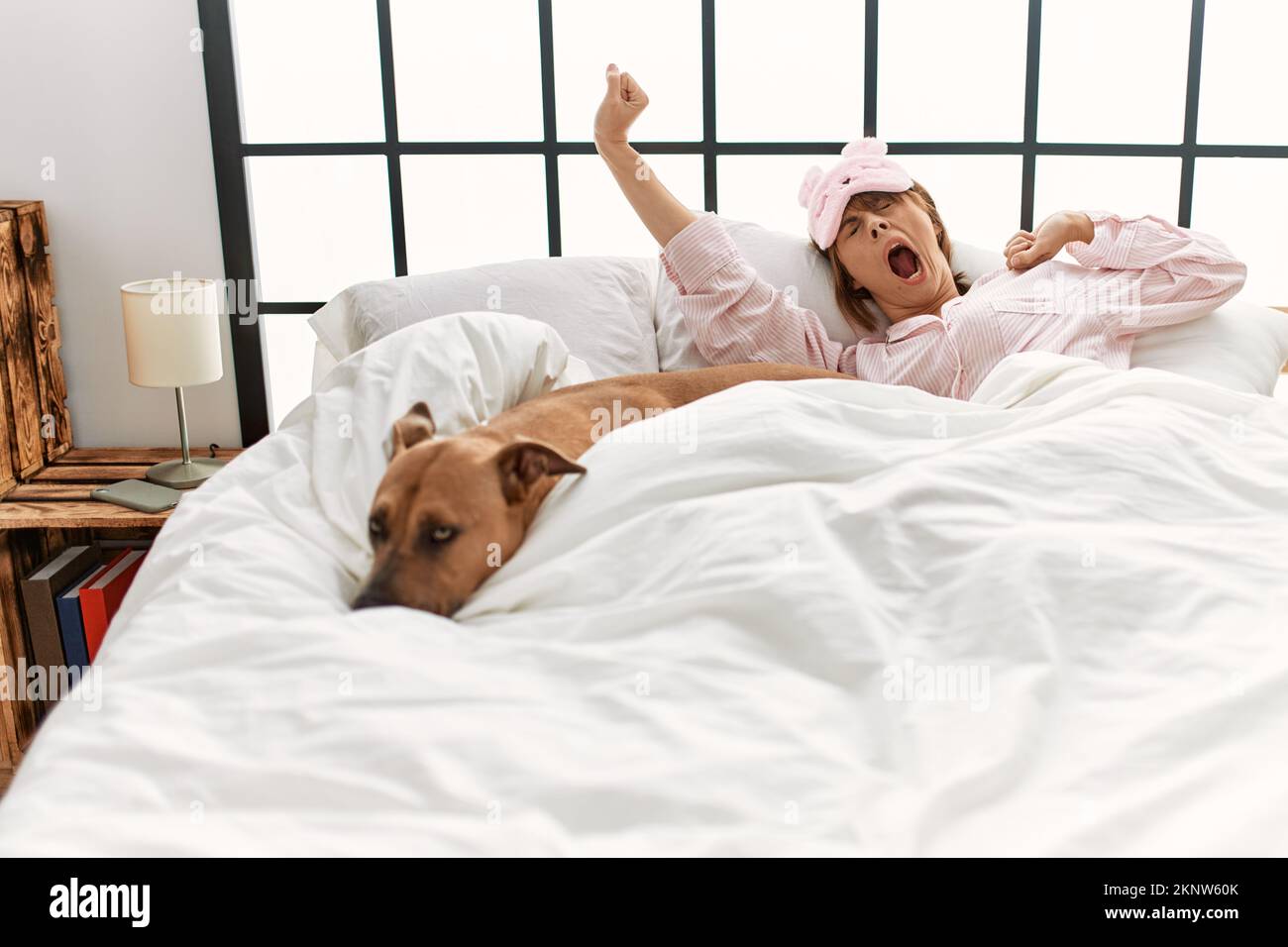 Young caucasian woman waking up lying on bed with dog at bedroom Stock ...