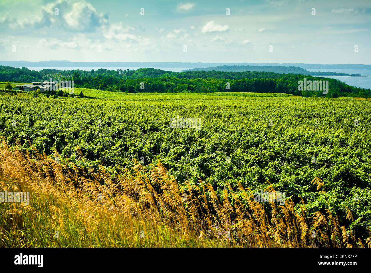 Old Mission Peninsula, North of Traverse City, Michigan Stock Photo - Alamy