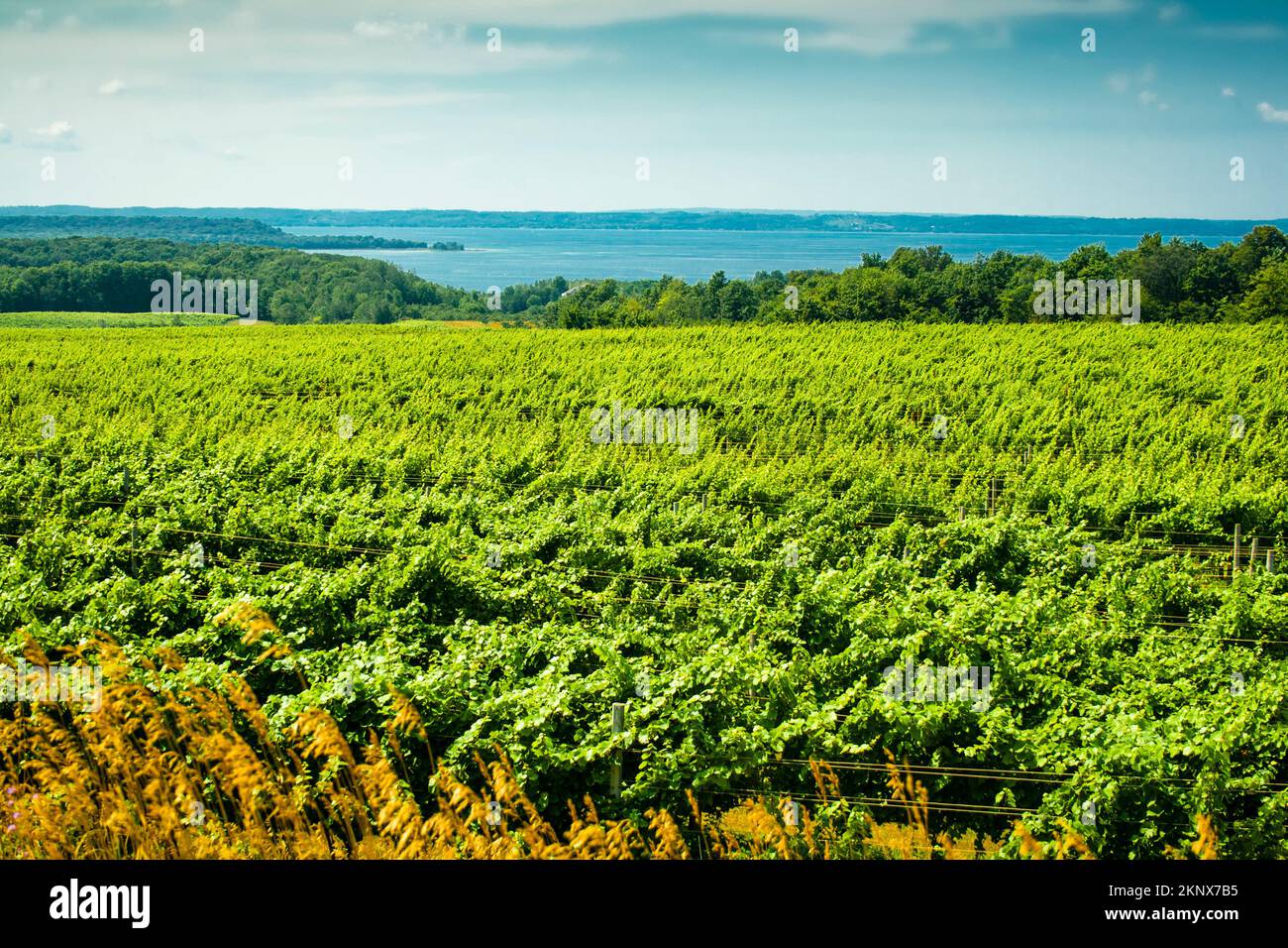 Old Mission Peninsula, North of Traverse City, Michigan Stock Photo - Alamy