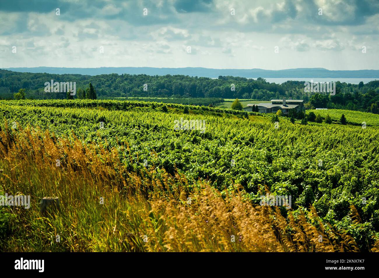 Old Mission Peninsula, North of Traverse City, Michigan Stock Photo - Alamy