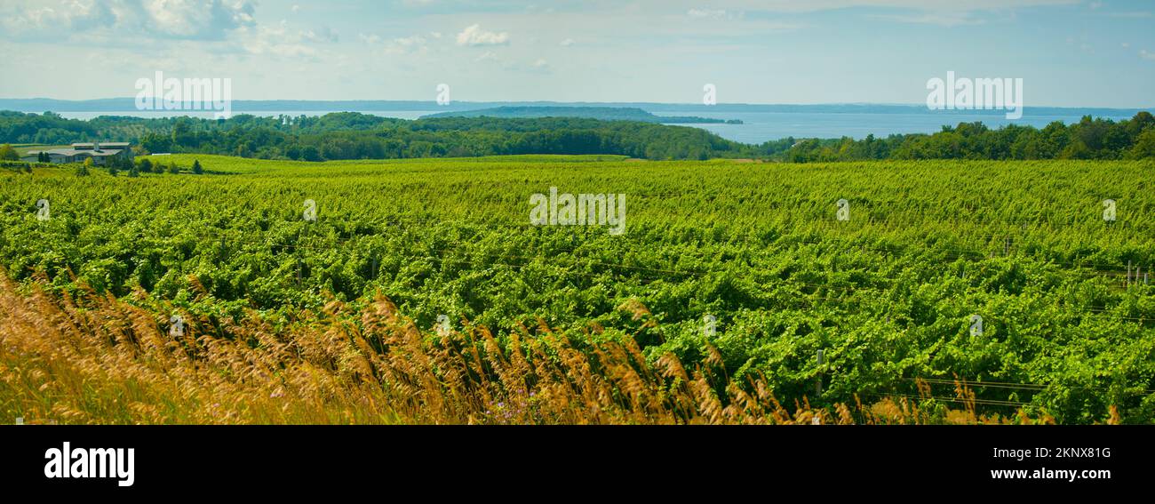 Old Mission Peninsula, North of Traverse City, Michigan Stock Photo - Alamy