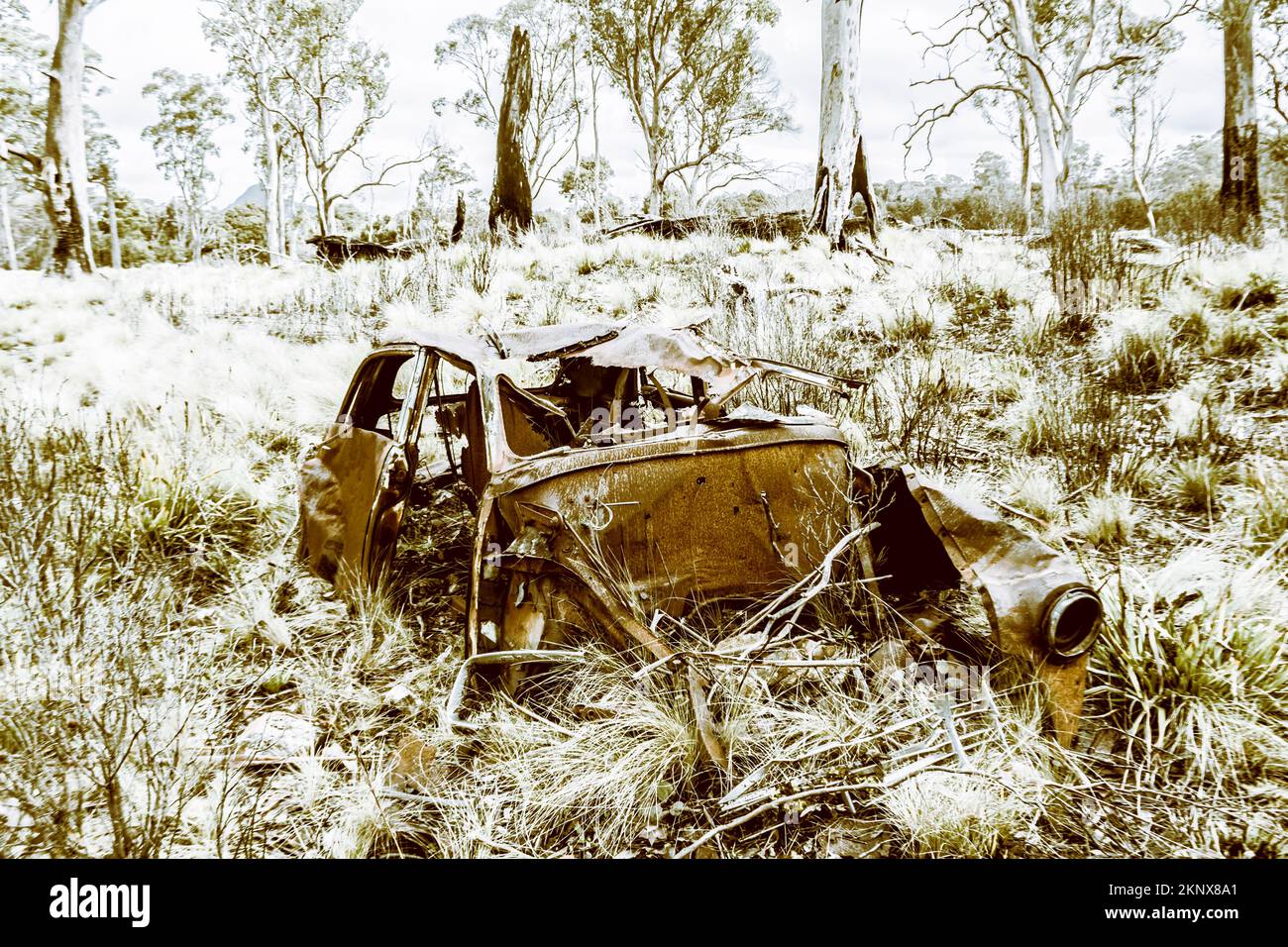 Abandoned, broken vehicle destroyed by corrosion in winter forest. Taken Waratah, Tasmania ...