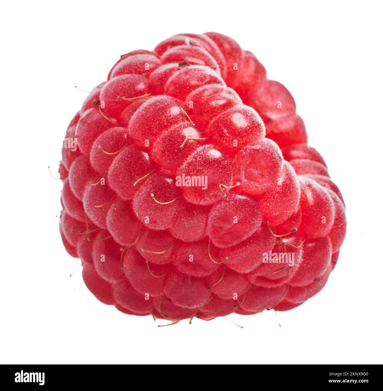 Delicious single raspberry over isolated white background Stock Photo ...
