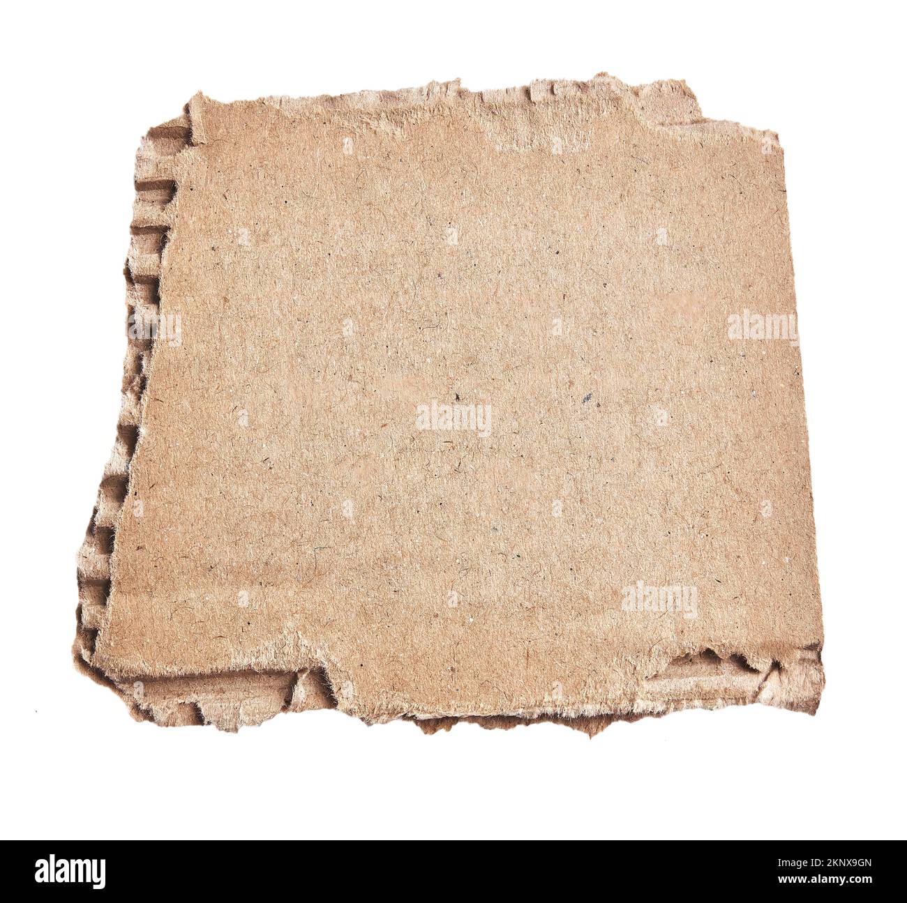 One ripped piece of cardboard material over isolated white background ...